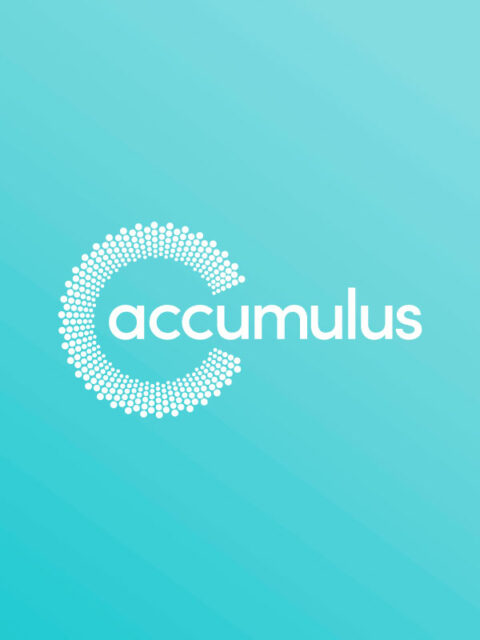 Accounting and Advisory Services in Hawaii